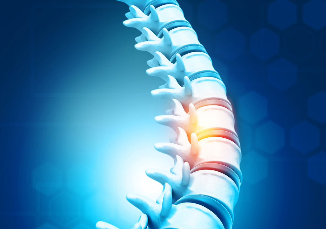 Novel immunotherapy improves recovery from spinal cord injury ...